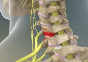 Pain Generators of the Spinal Column